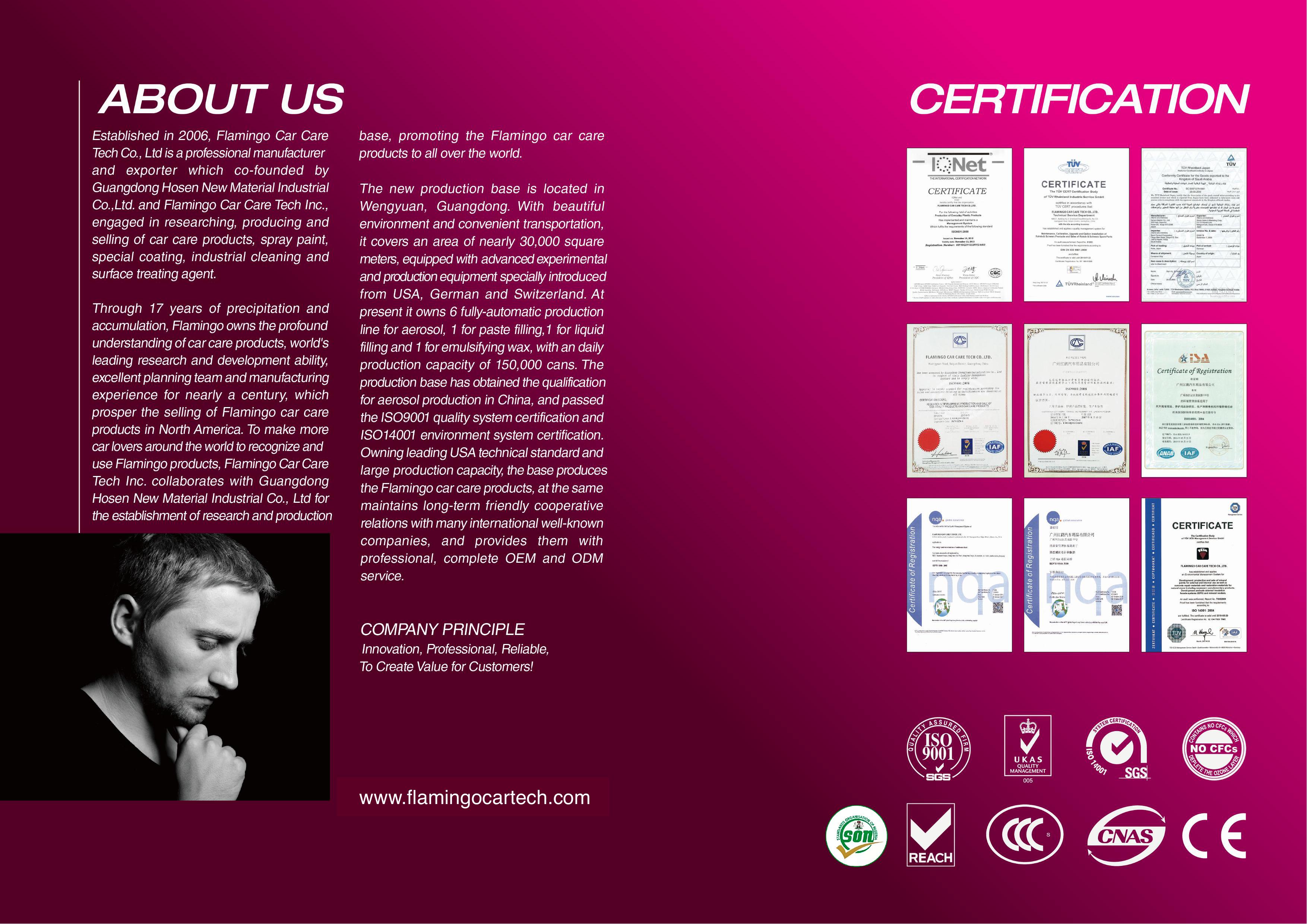 Flamingo Car Tech - Advanced Automotive Technology Solutions